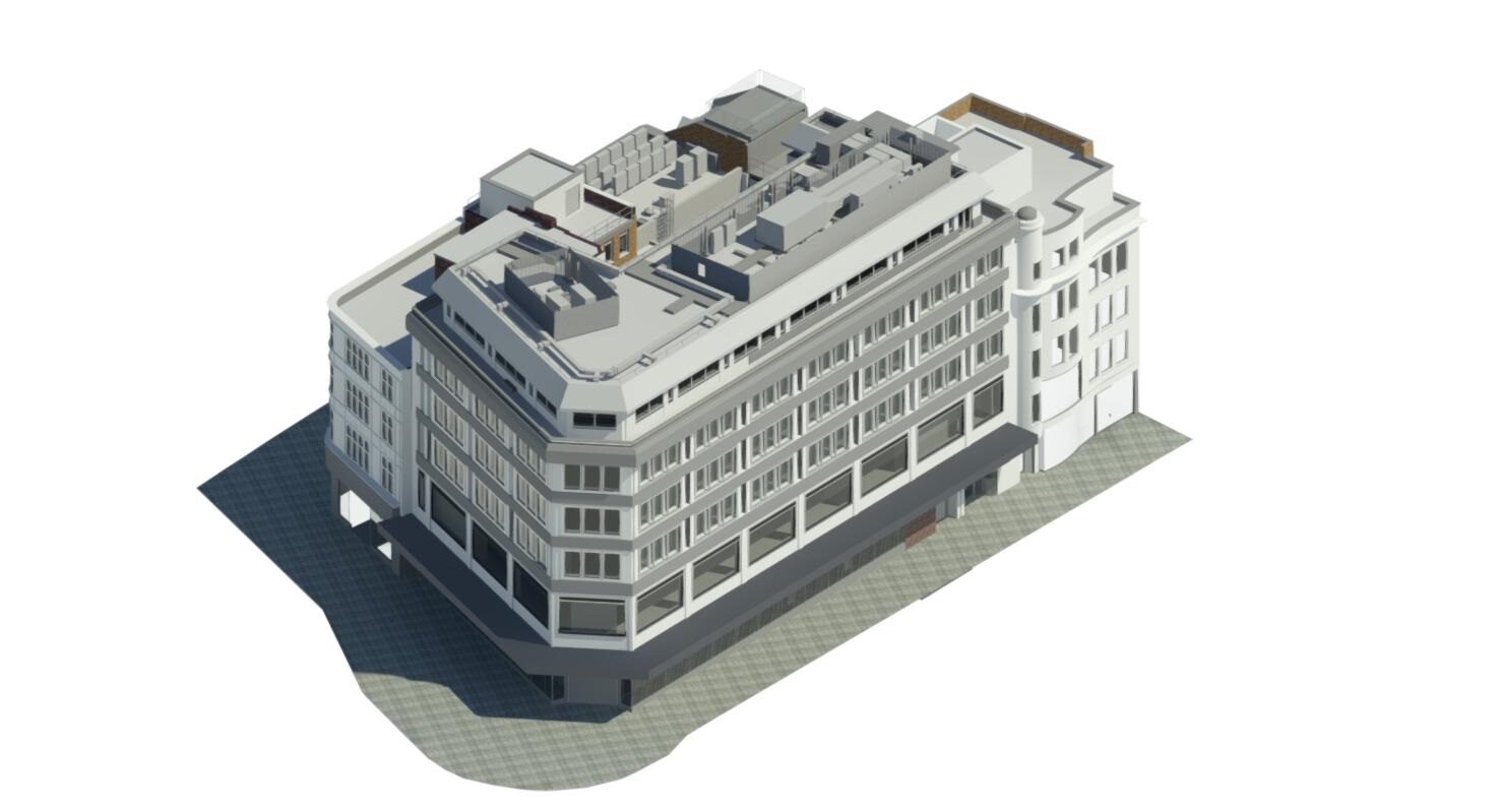 BIM-Ready 3D Revit Survey Model | Terrain Surveys