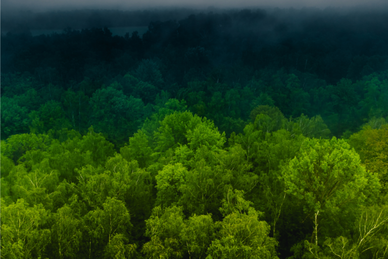 Guide To The Four Types of PAS 128 Survey You Need To Know | Terrain ...